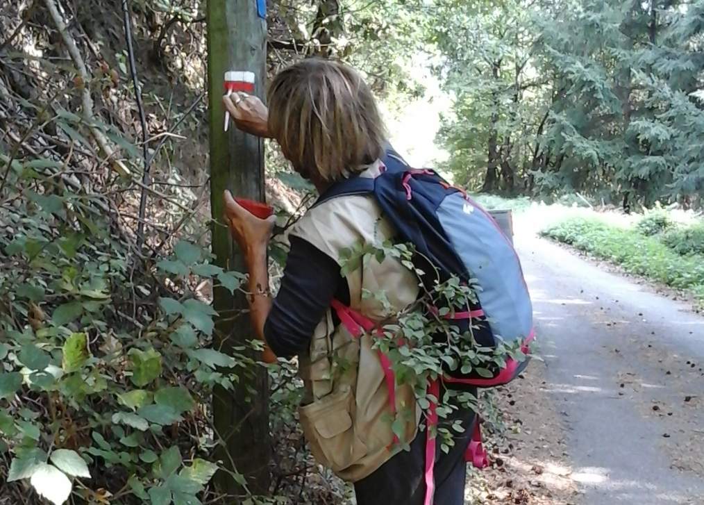GR® 42 : quelques nouvelles de septembre... - FFRandonnée Loire