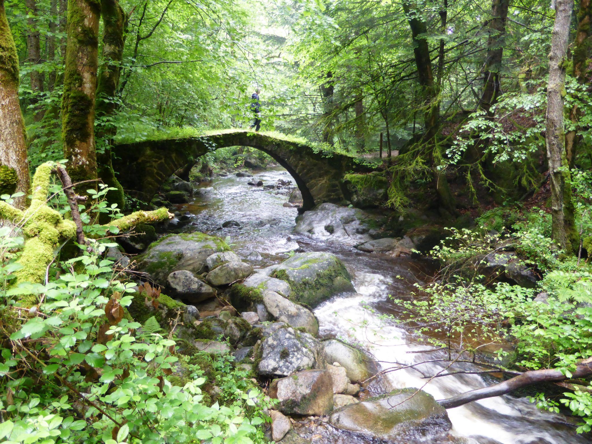 Les Monts du Forez Entre villages et Hautes-Chaume - FFRandonnée Loire