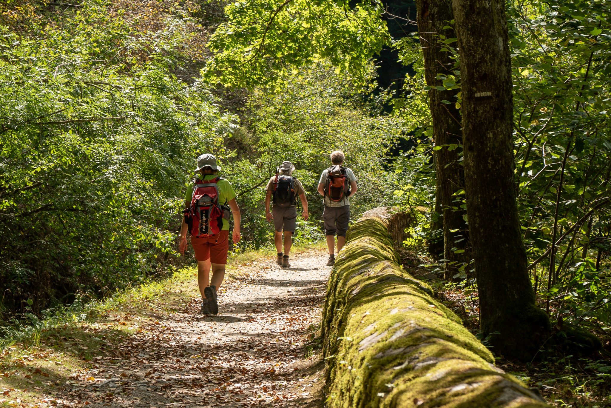 Septembre : le retour de certaines rando-campagnardes - FFRandonnée Loire